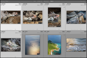Julieanne Kost's Blog | Stacking Similar Photos in Lightroom Classic