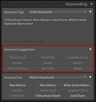 Julieanne Kost's Blog | Working with Keywords in Lightroom Classic