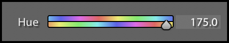 Julieanne Kost's Blog | Local Hue Editing in Lightroom Classic