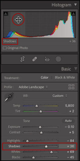 Julieanne Kost's Blog | Using the Basic Panel and Histogram to Adjust ...